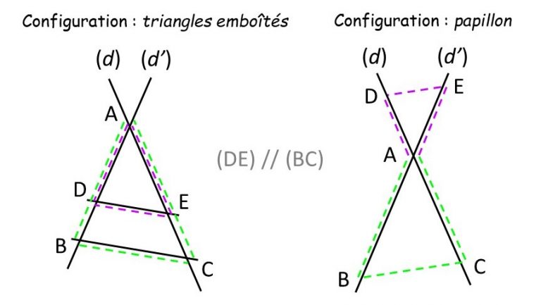 3e – Séquence 2 – Le théorème de Thalès – Formimaths